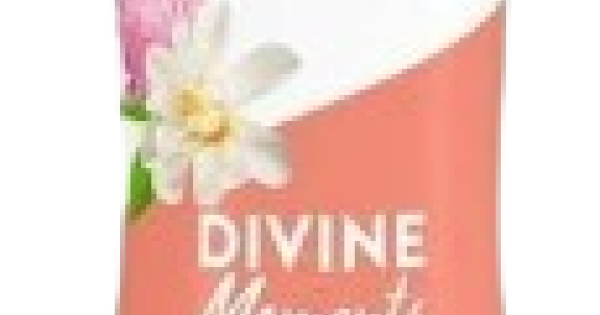 Fa Deo Woman 48h Divine Moments 150ml 30/bax - LucidiusMarket
