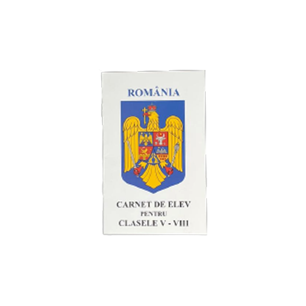 Tp Carnet Note V-viii - LucidiusMarket